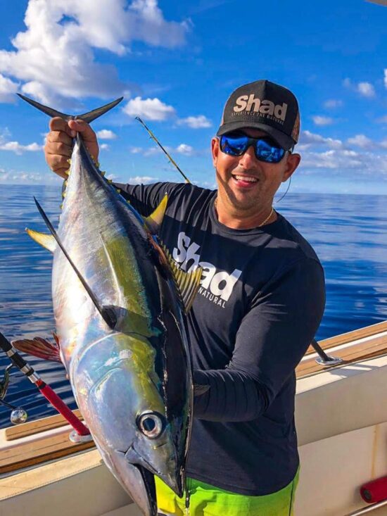 Atum: Um símbolo dos oceanos – Shad – Moda